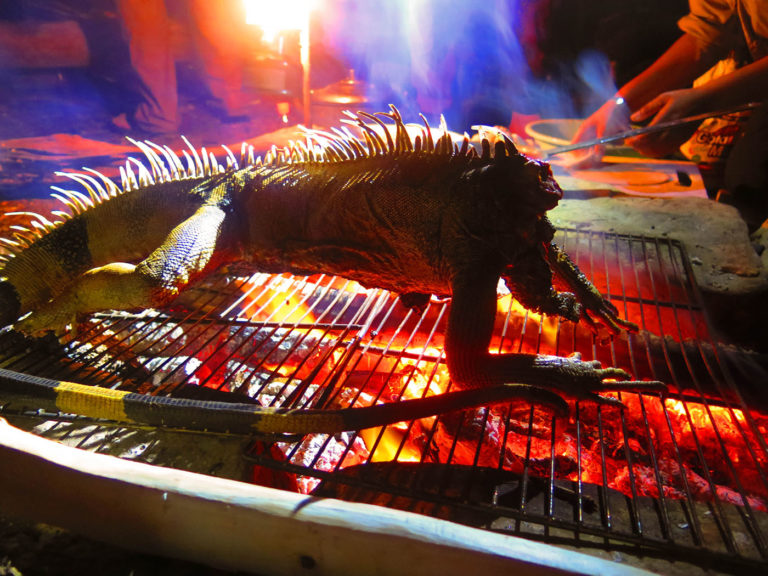 Iguana_cooking - Wild Human
