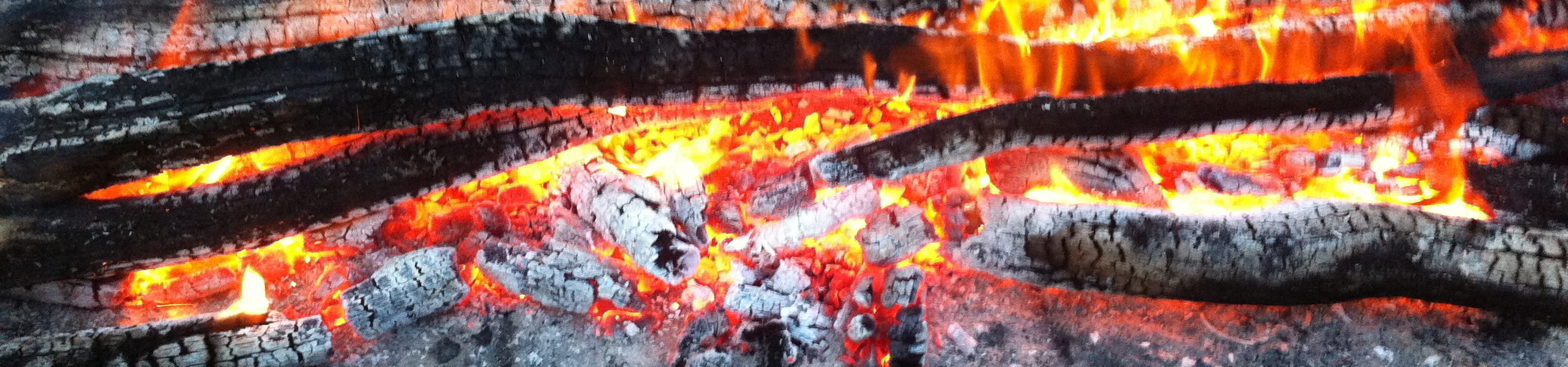 long_fire - Wild Human