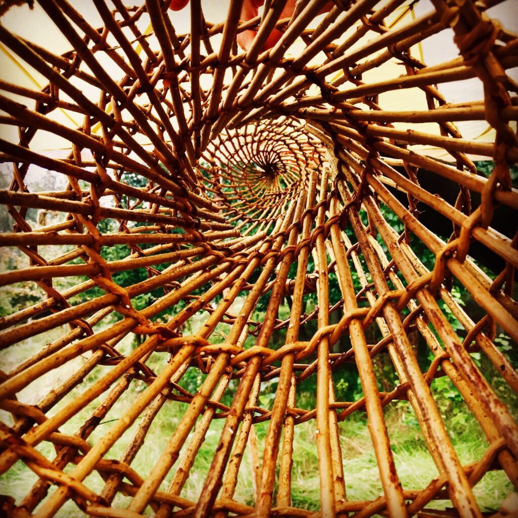 willow fish trap - Wild Human