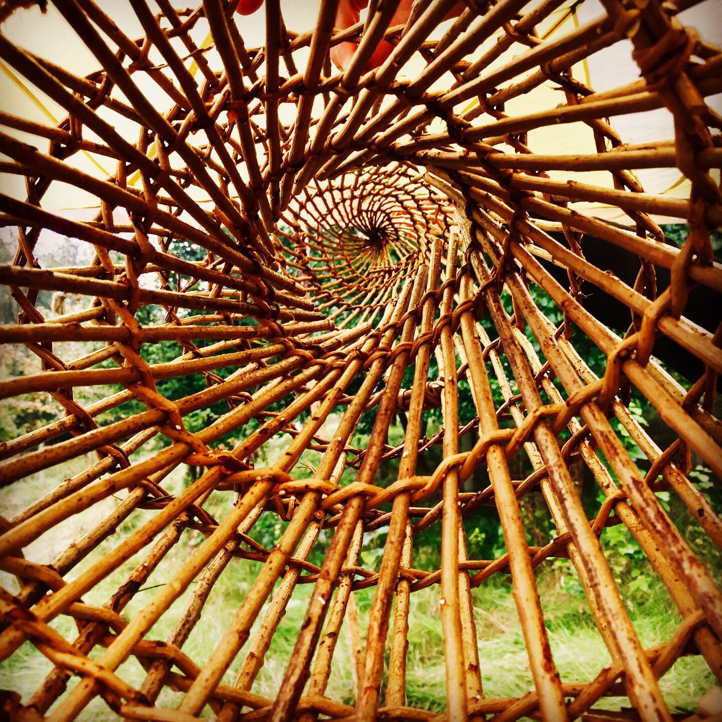 willow fish trap - Wild Human