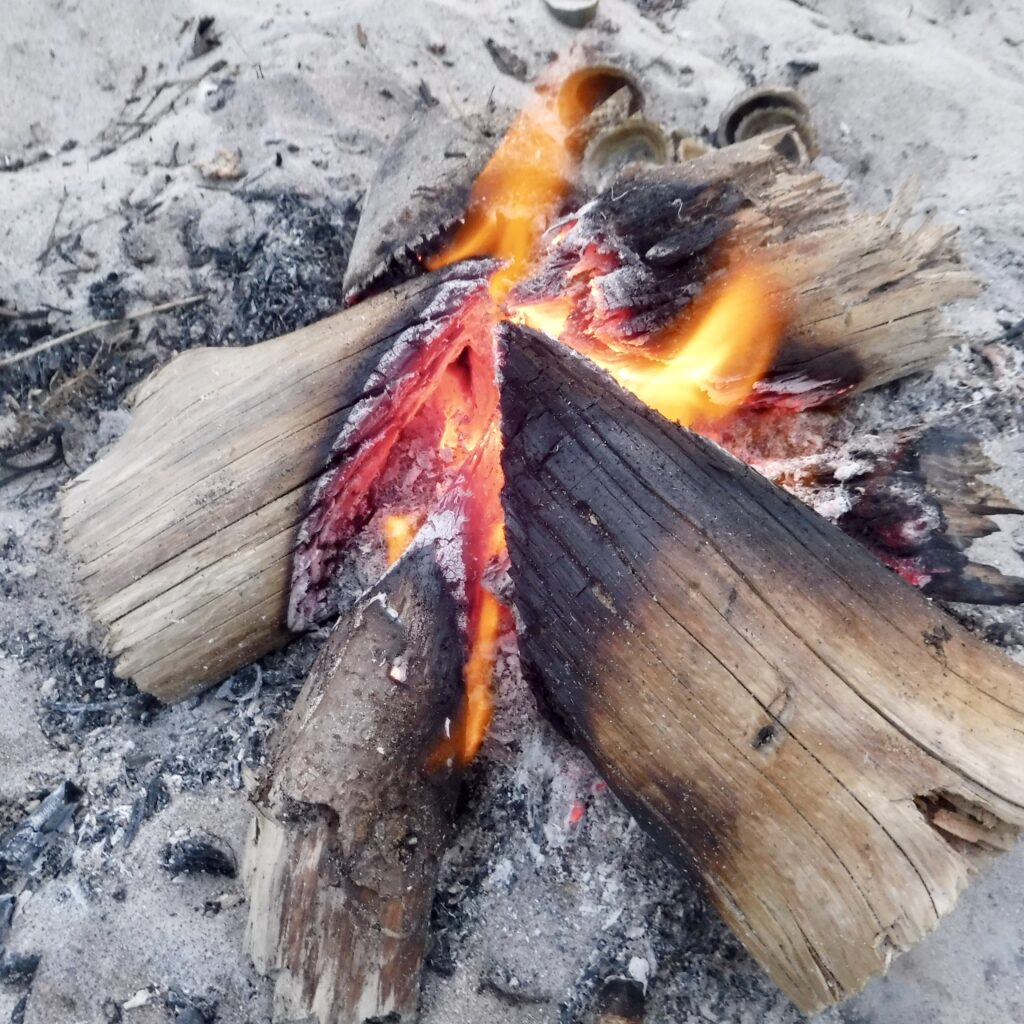 Wild Foods & Ancient Fire Skills - Wild Human