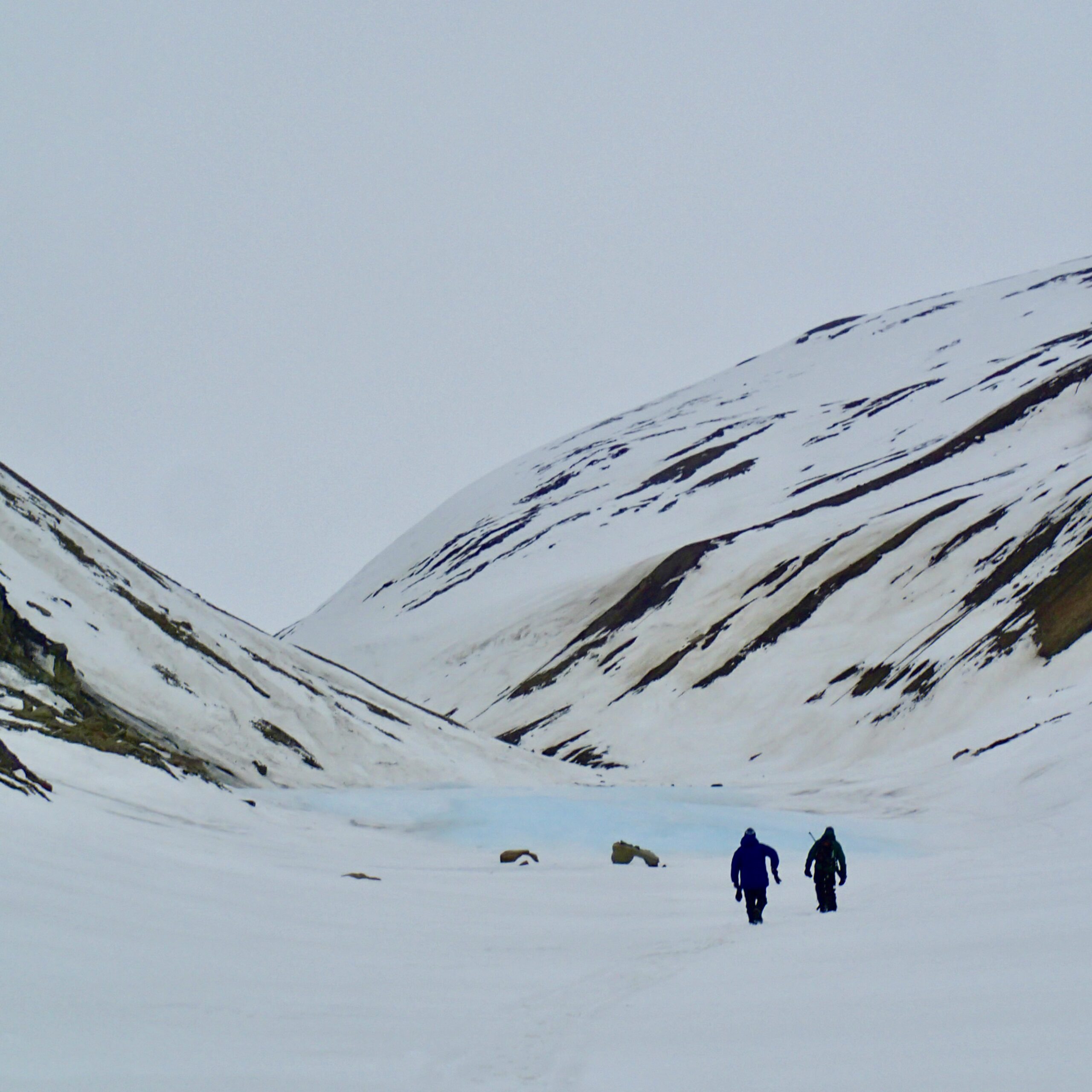 OLYMPUS DIGITAL CAMERA - Wild Human