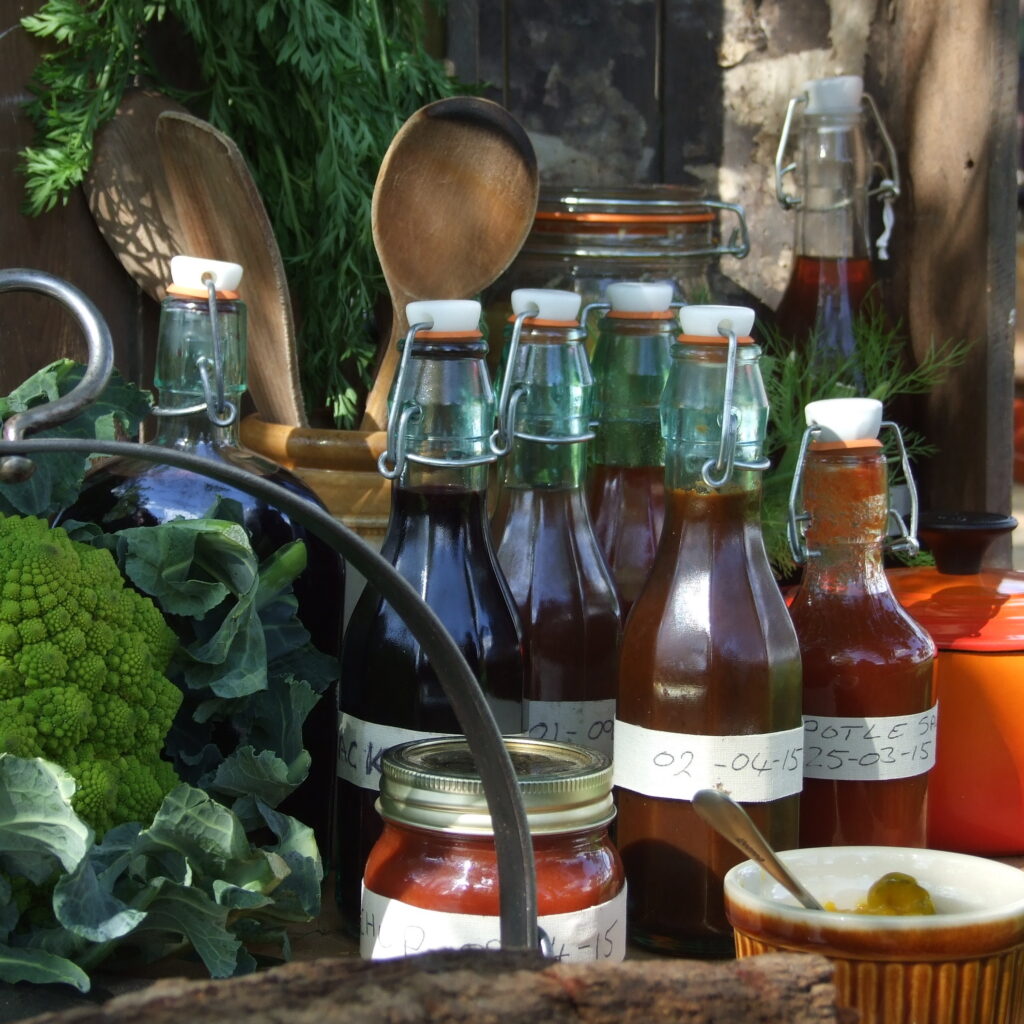 Bushcraft Courses - Wild Human