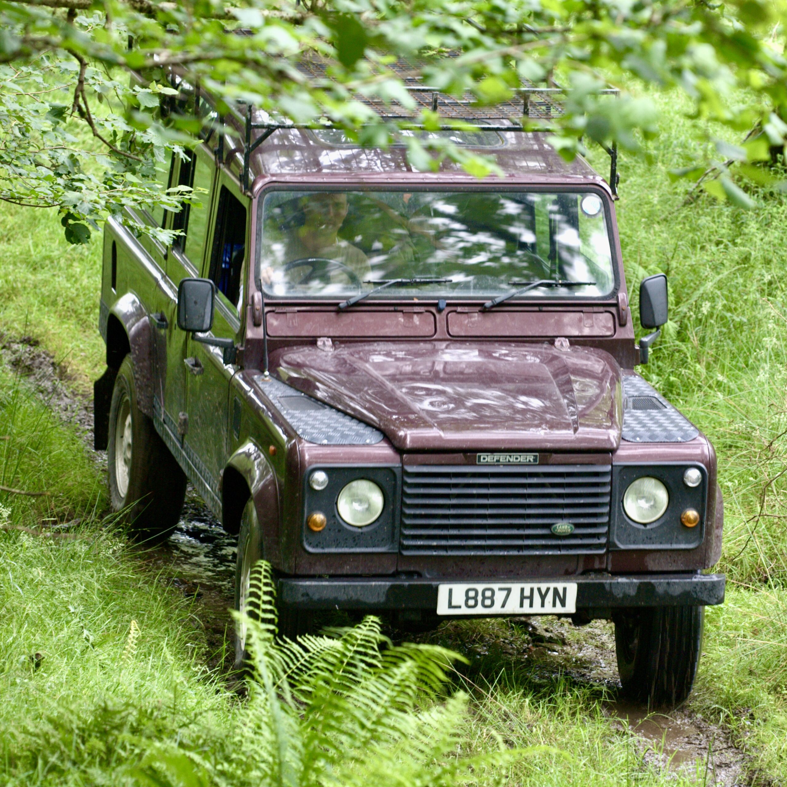 IMG_6513.CR2 - Wild Human