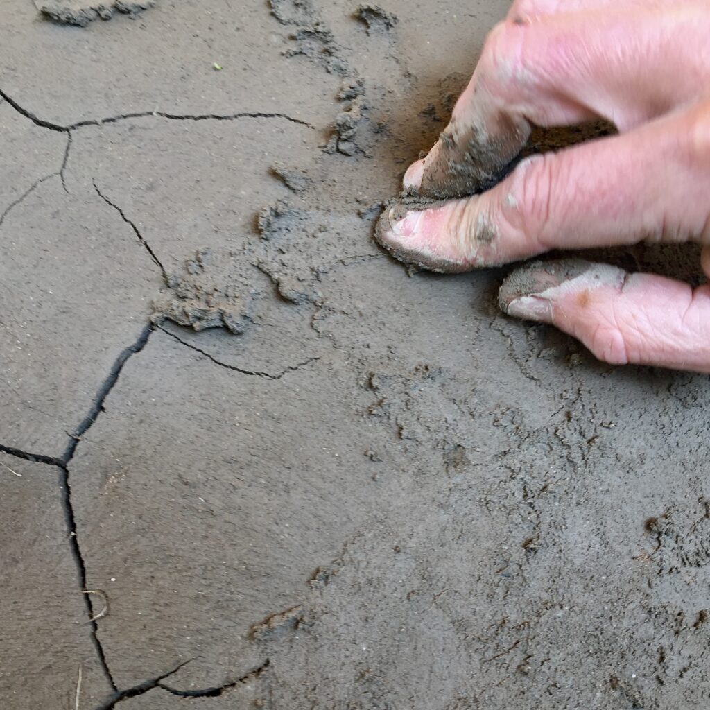 Cob & Clay Development Week - Wild Human