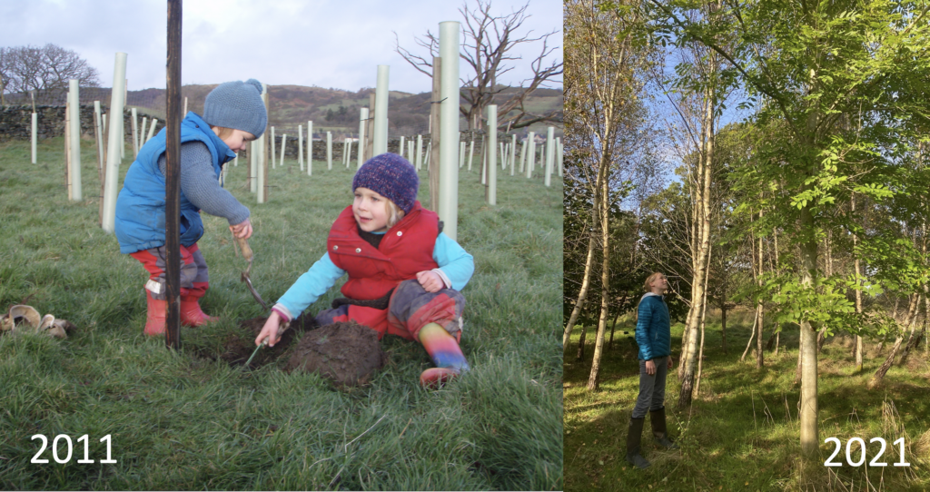 Oak Howe - Wild Human