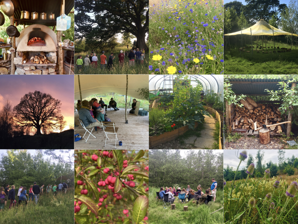 Oak Howe - Wild Human