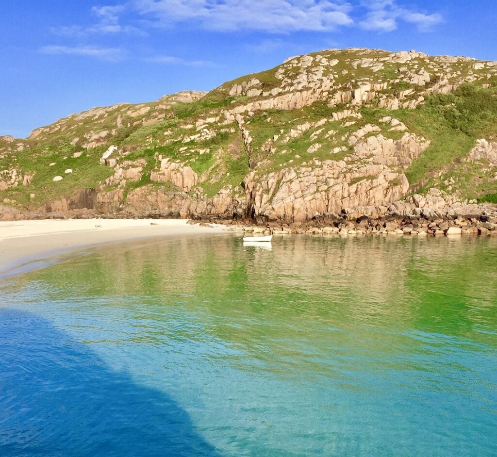 New Coastal Forager - Wild Human