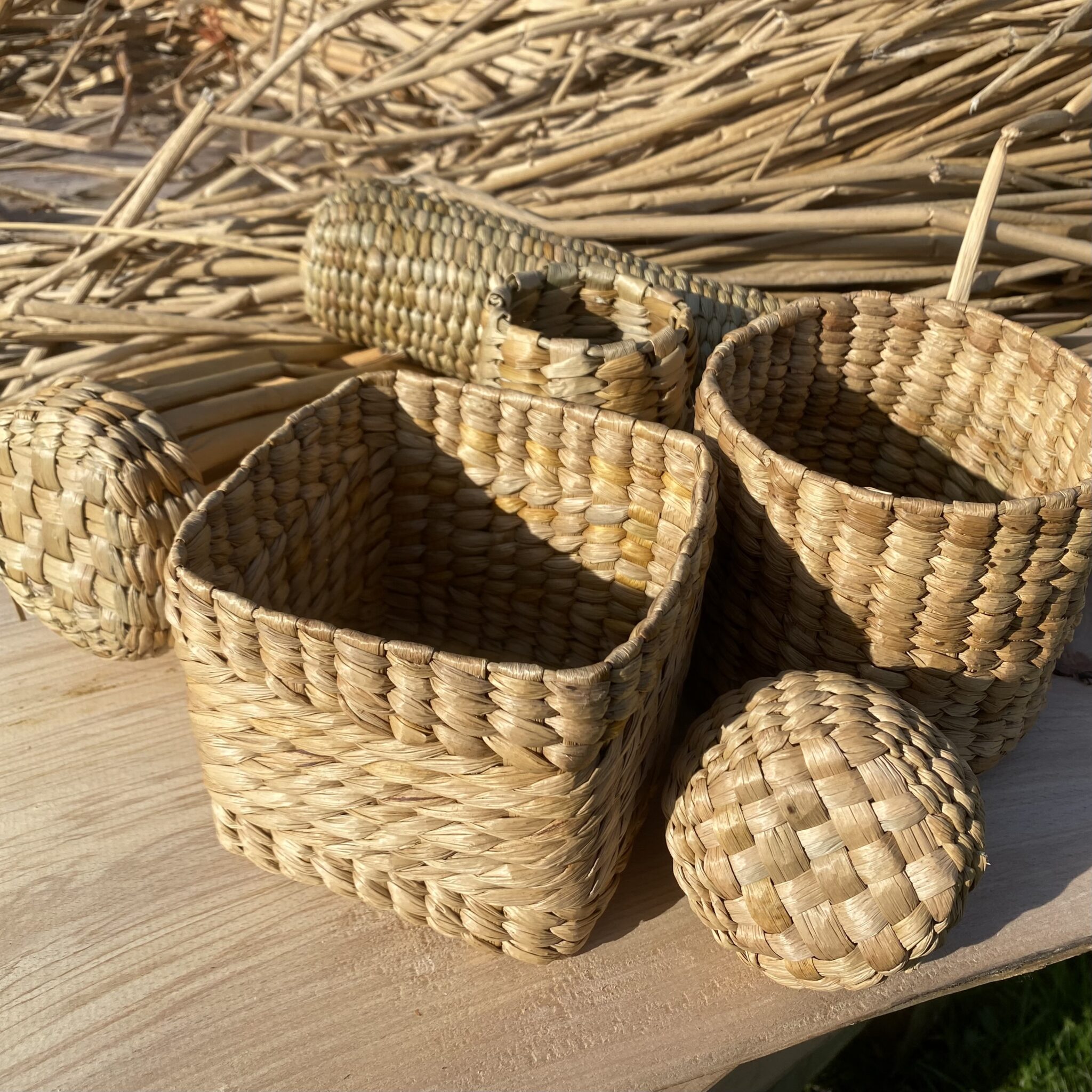 Wild Human Bushcraft Courses and Expeditions